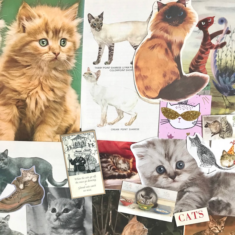 Cat & Kitten Themed Ephemera Paper Craft Pack Scrapbook Supplies ...
