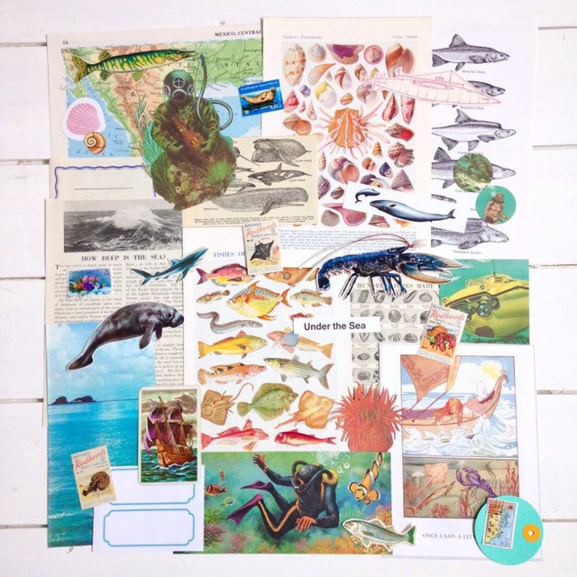 Beach and Ocean Themed Ephemera Vintage Smash Book | Etsy