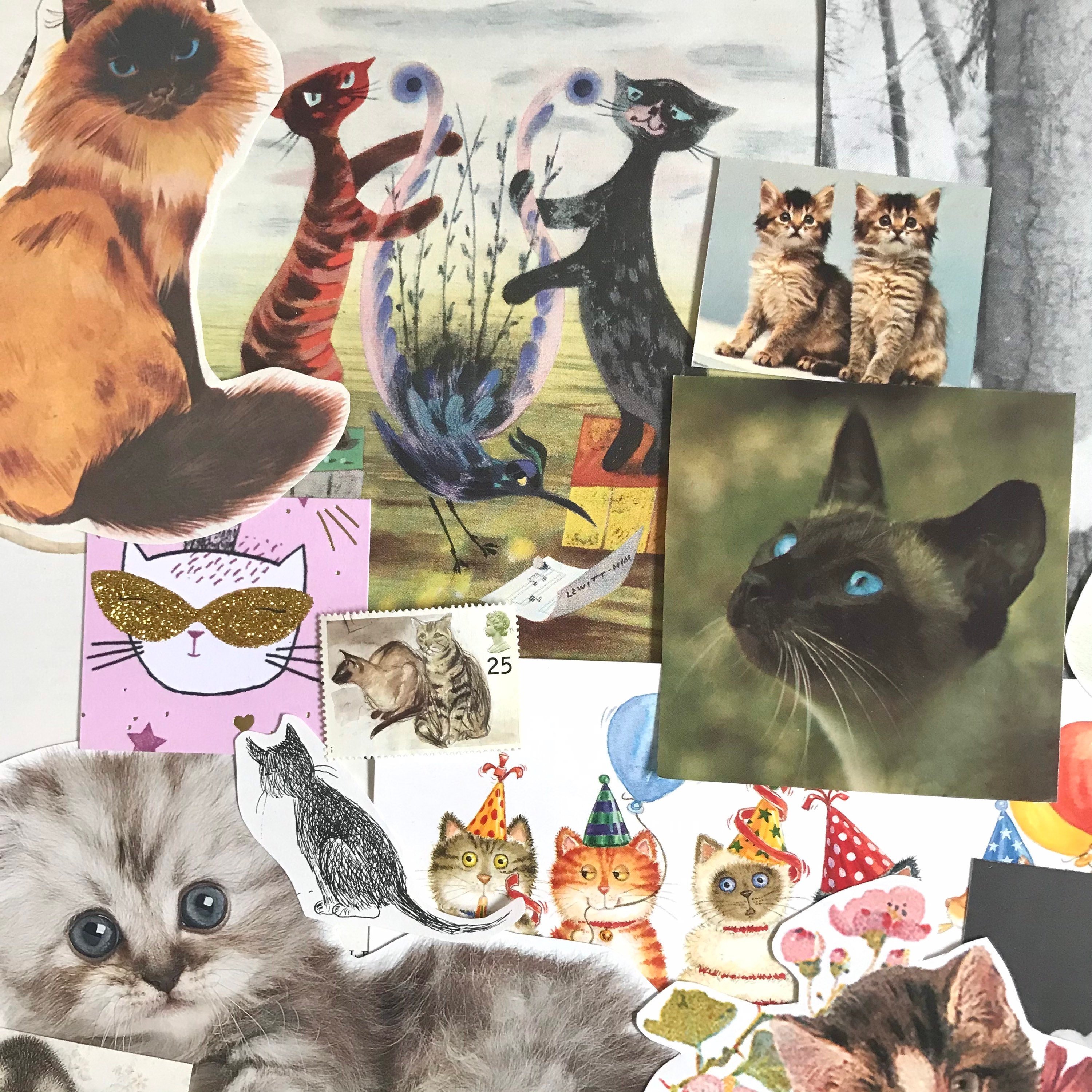 Cat Collage Tumblr