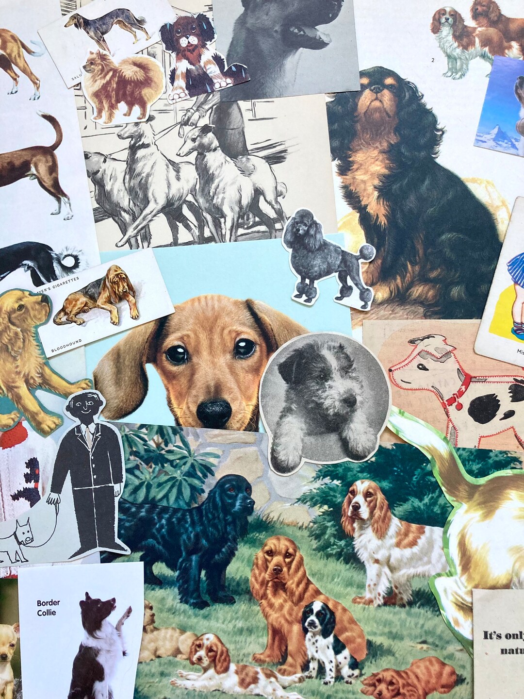 Dog & Puppy Themed Ephemera | Paper Craft Pack | Scrapbook Supplies ...
