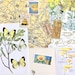 Yellow Ephemera Vintage Paper Pack Scrapbook Supply - Etsy