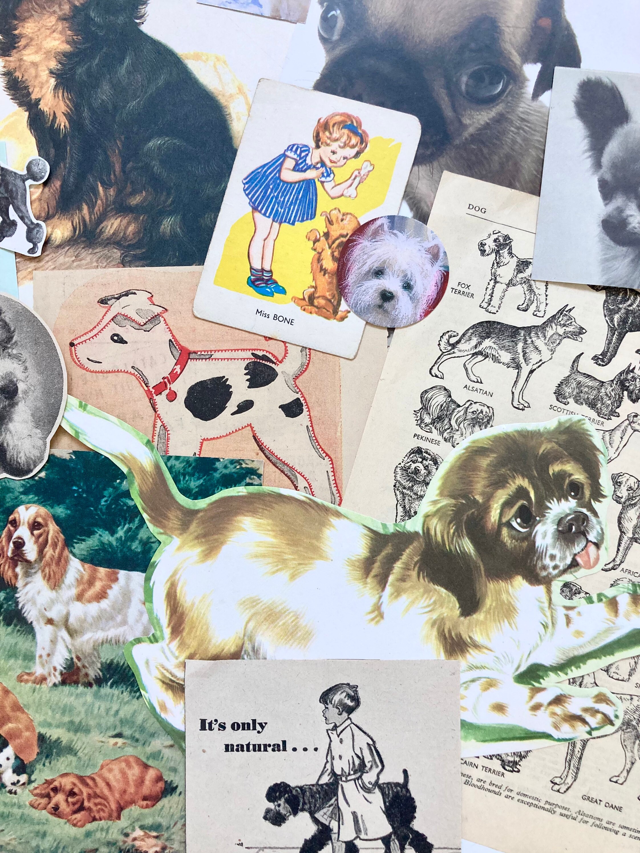Dog & Puppy Themed Ephemera Paper Craft Pack Scrapbook - Etsy