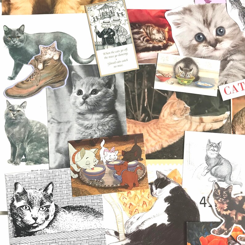 Cat & Kitten Themed Ephemera Paper Craft Pack Scrapbook | Etsy