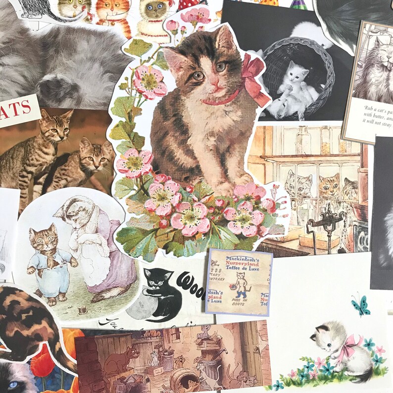 Cat & Kitten Themed Ephemera Paper Craft Pack Scrapbook Supplies ...