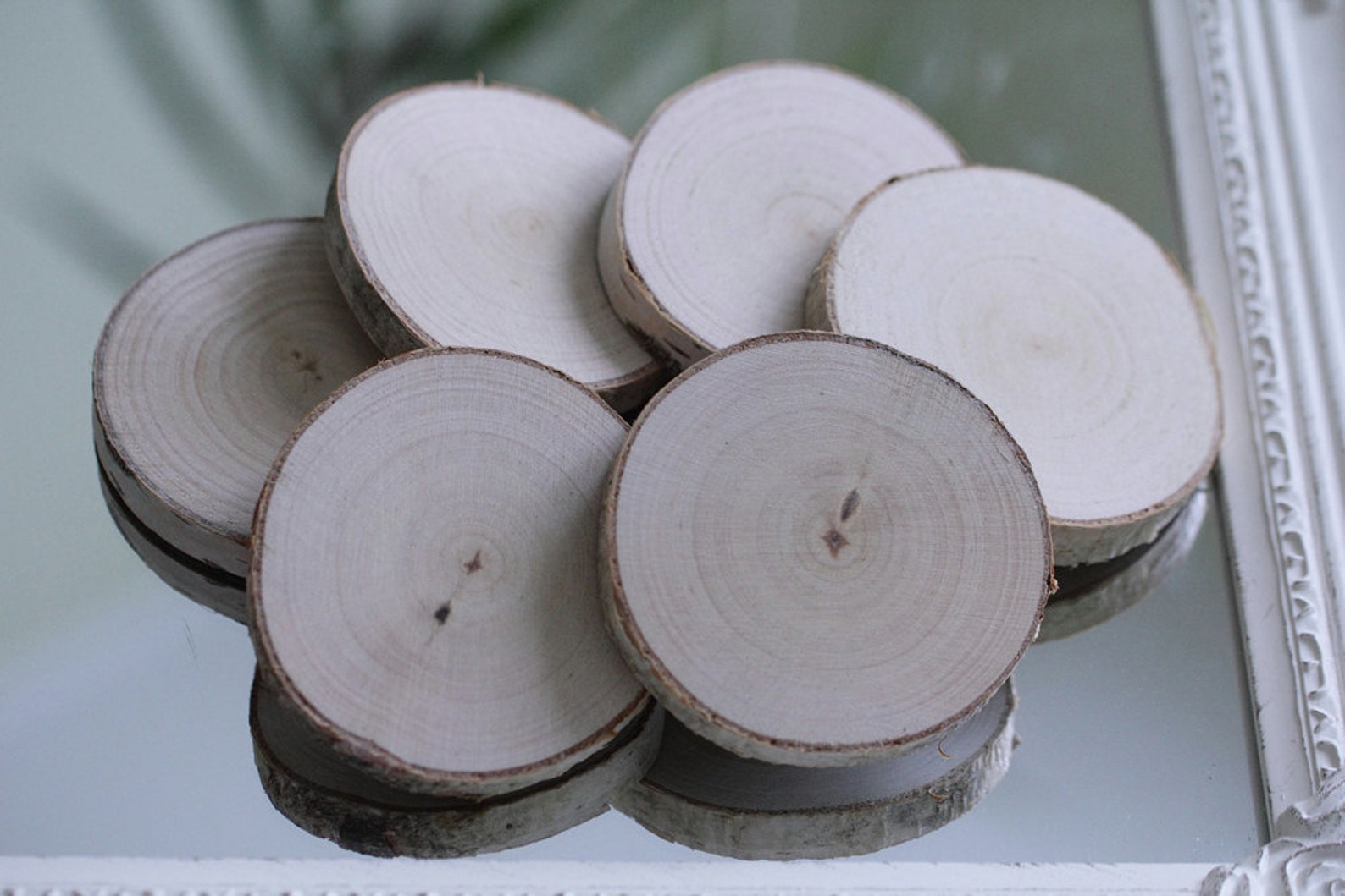 Set of 25 Birch Slices, Rustic Wedding Decor, Wooden Slabs, Wood Circle ...