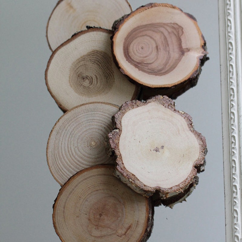 Wood Rounds - Etsy