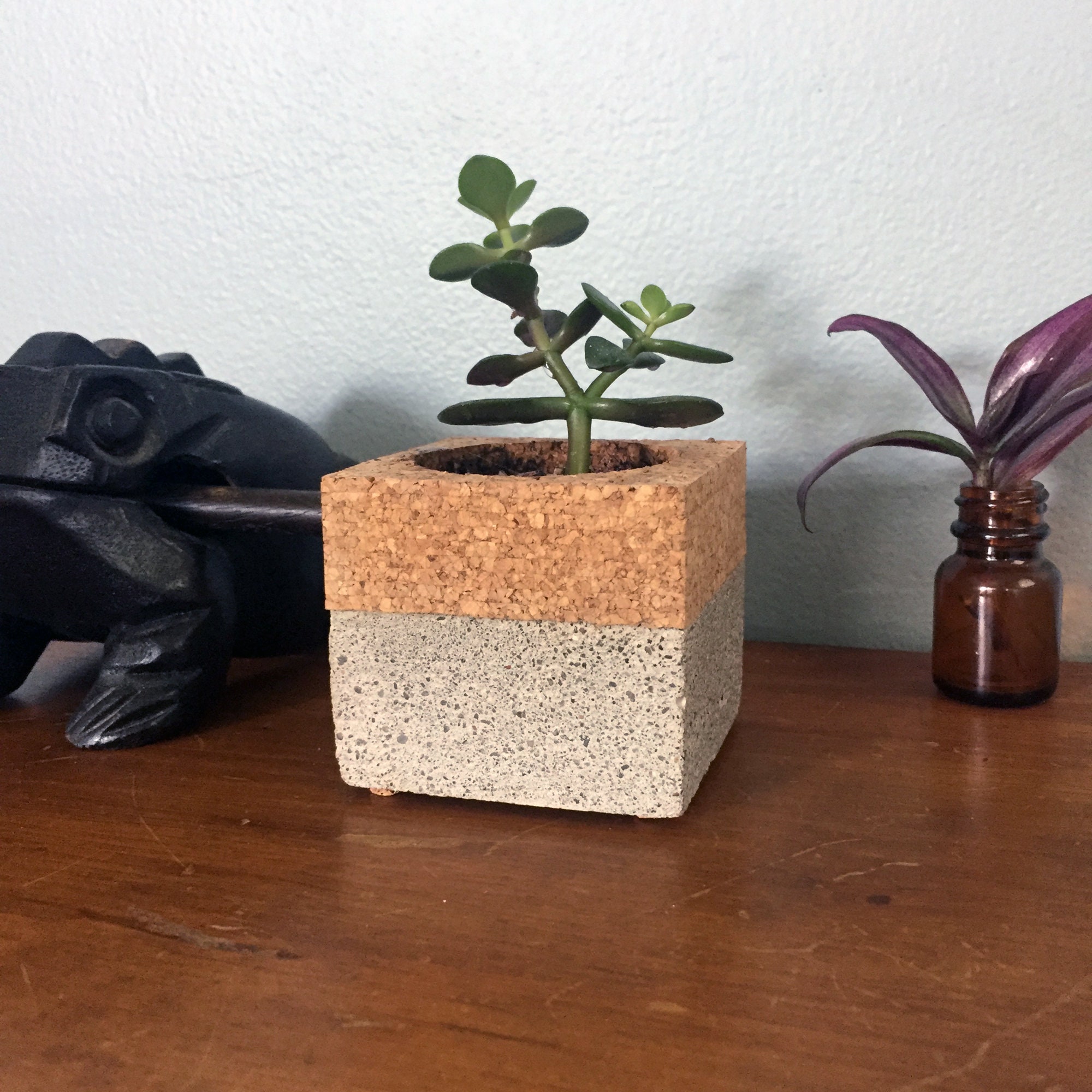 Concrete/cork planter | Etsy