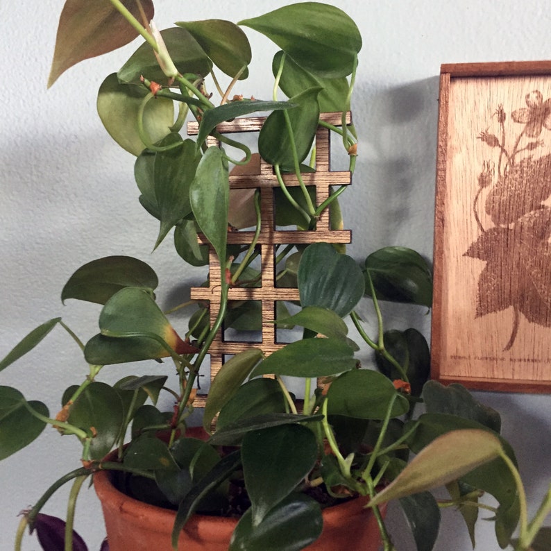 Houseplant Trellis Short Wood Plant Stake Support - Etsy