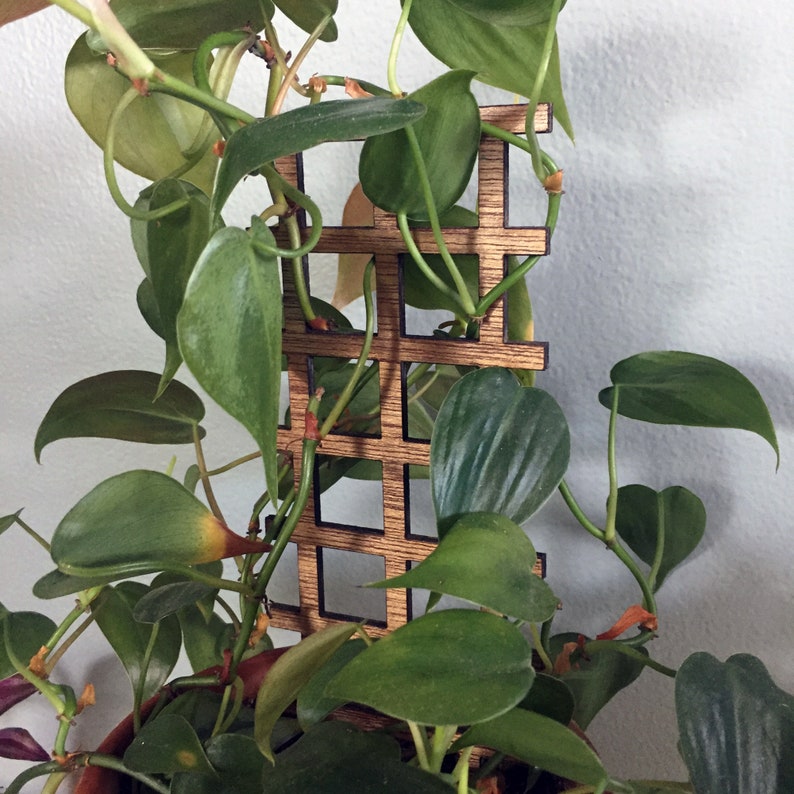 Houseplant Trellis Short Wood Plant Stake Support - Etsy