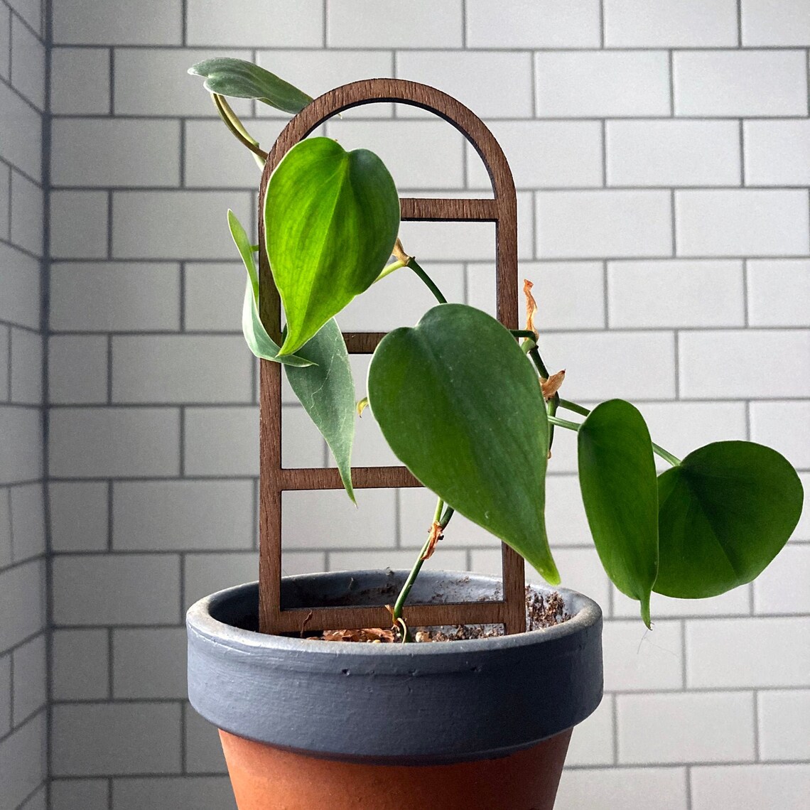 Houseplant Trellis Short Wood Plant Stake Support - Etsy