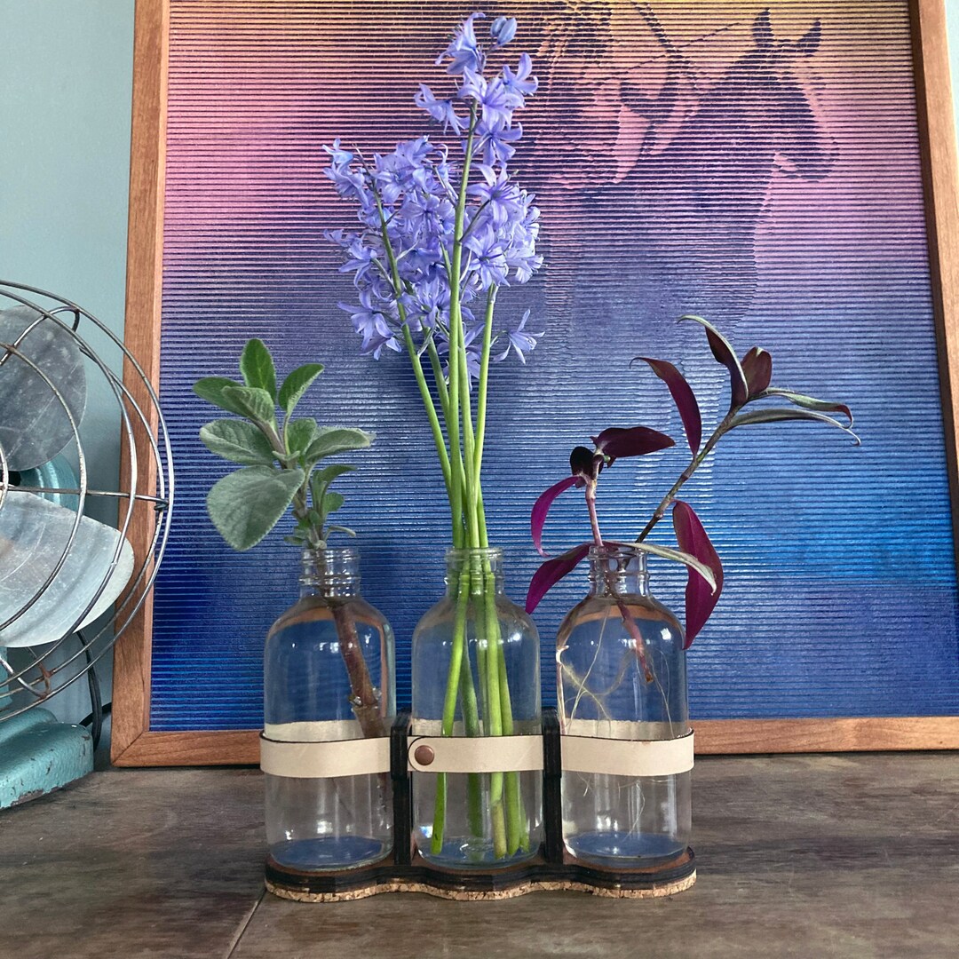 Propagation Station | Glass Vase | Propagation Vase | Glass Vase ...