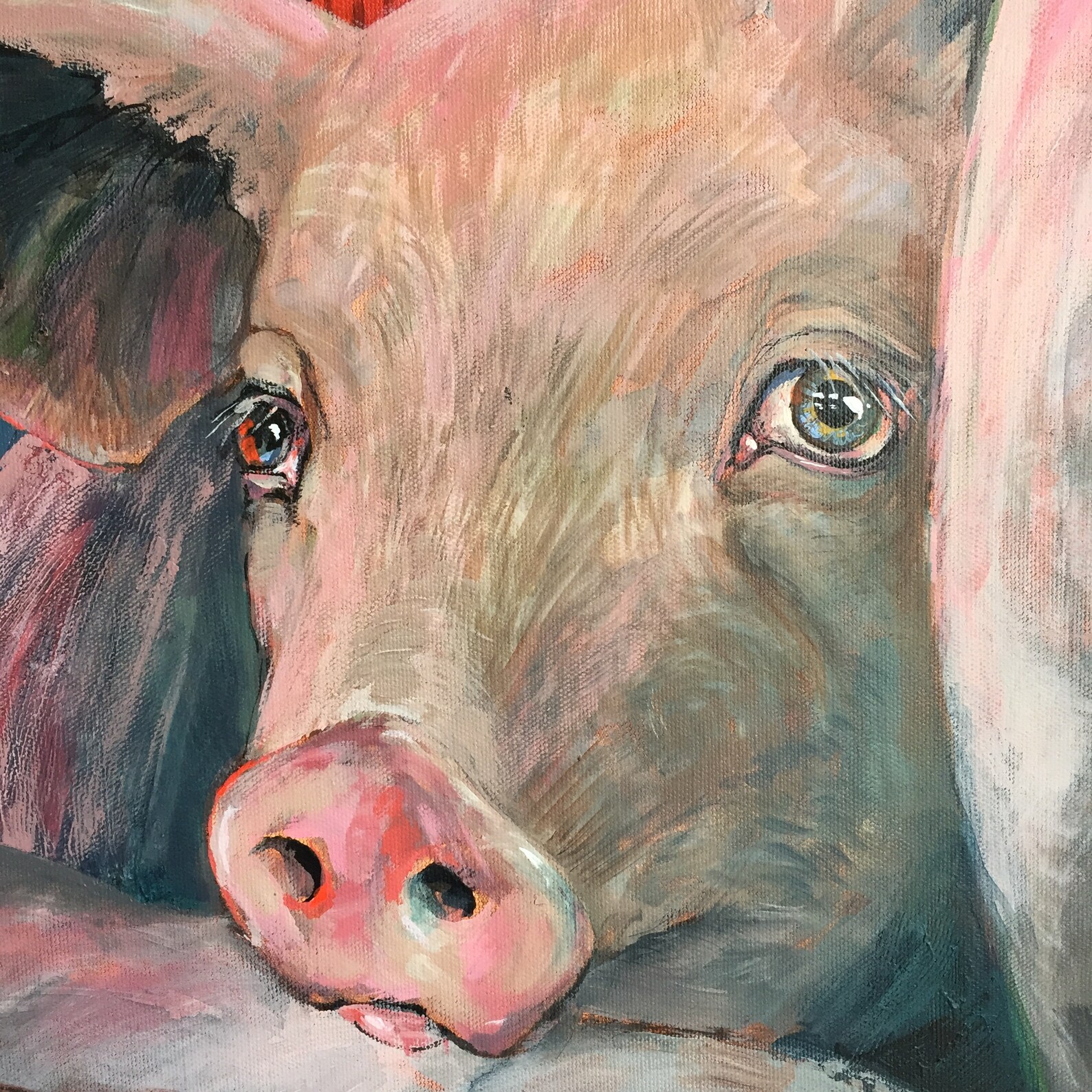 Vegan Art Animal Rights Art Pig Painting Original One of a | Etsy