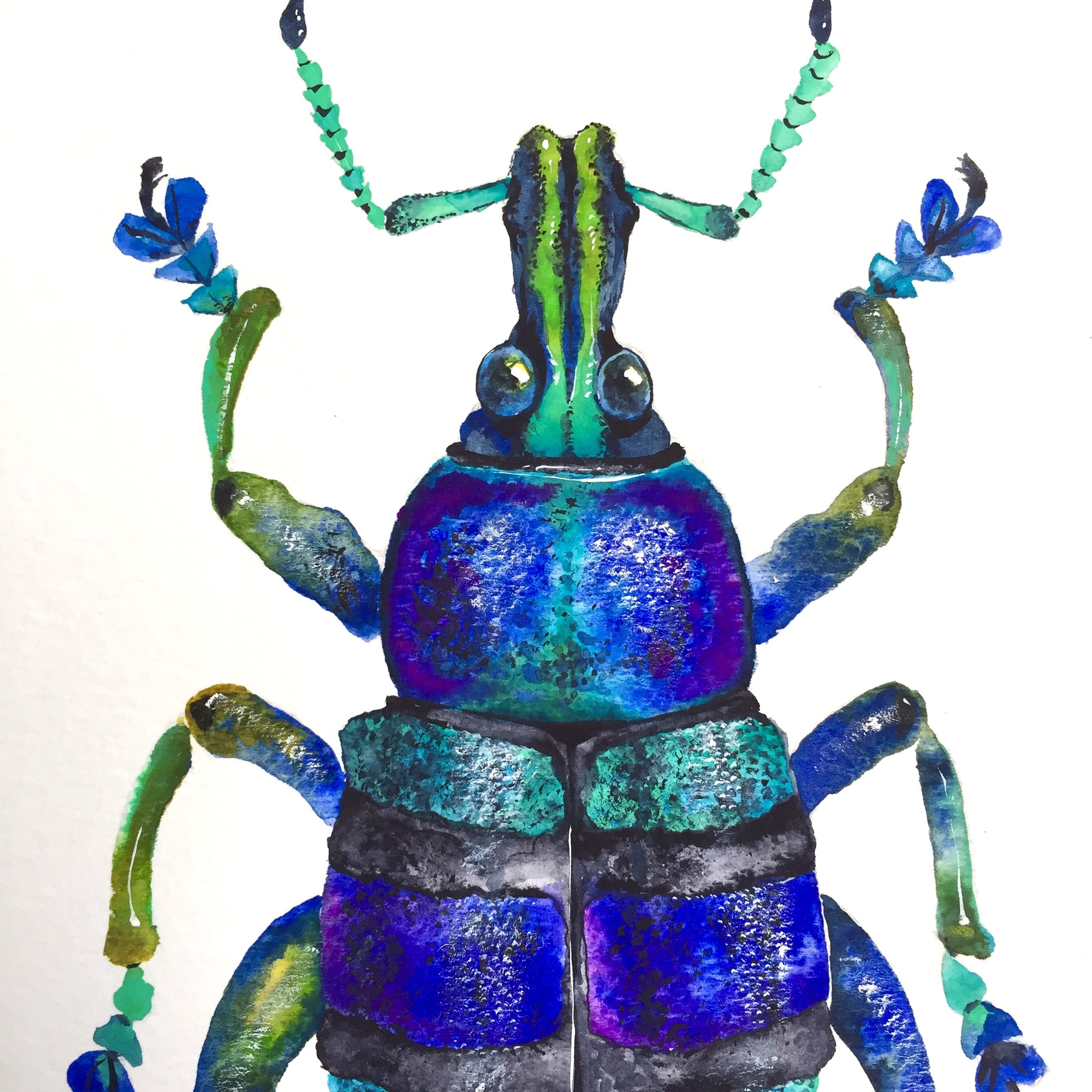Beetle Painting Blue Beetle Watercolor Painting Insect Art - Etsy Singapore