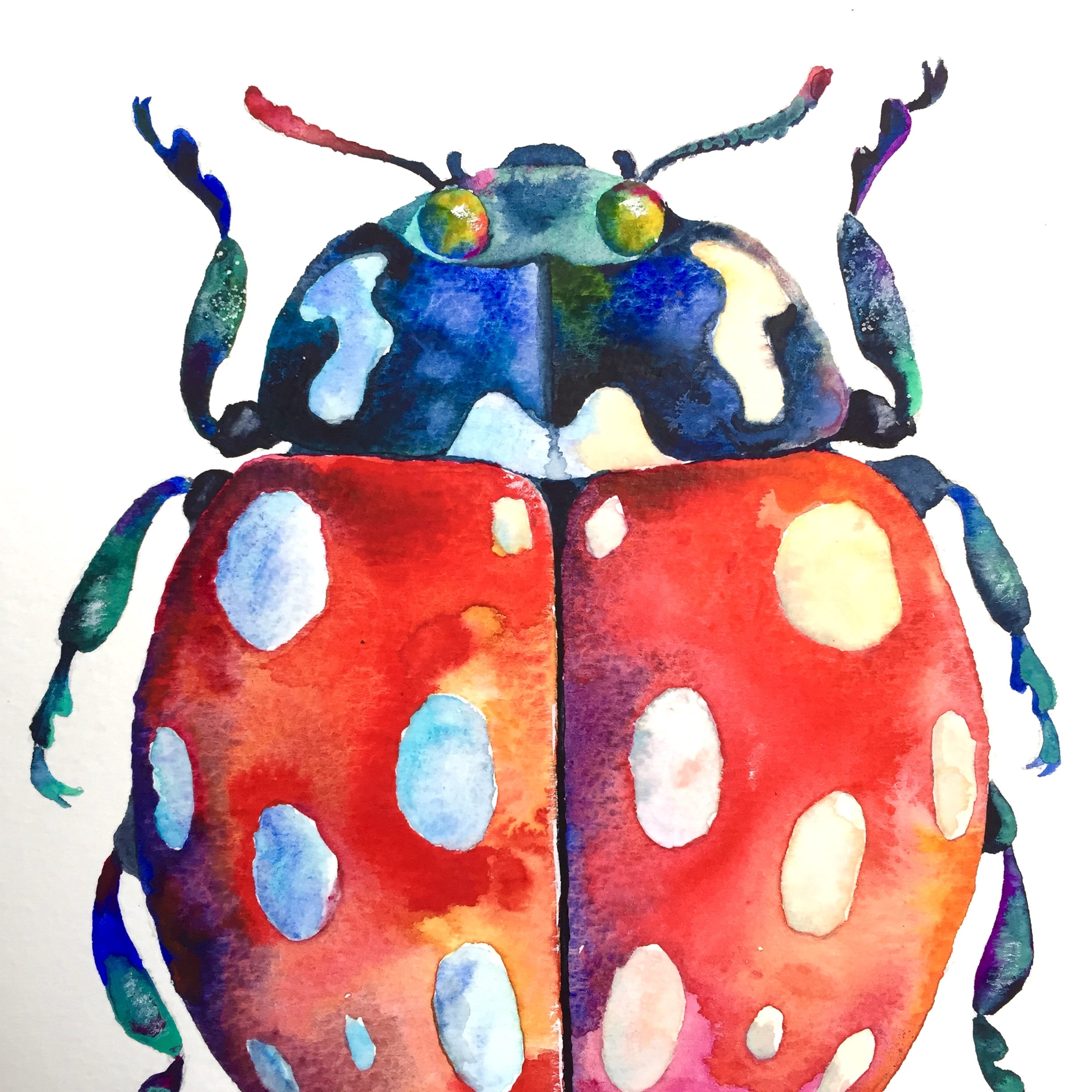 Ladybug Painting Ladybug Watercolor Painting Insect Art - Etsy Sweden
