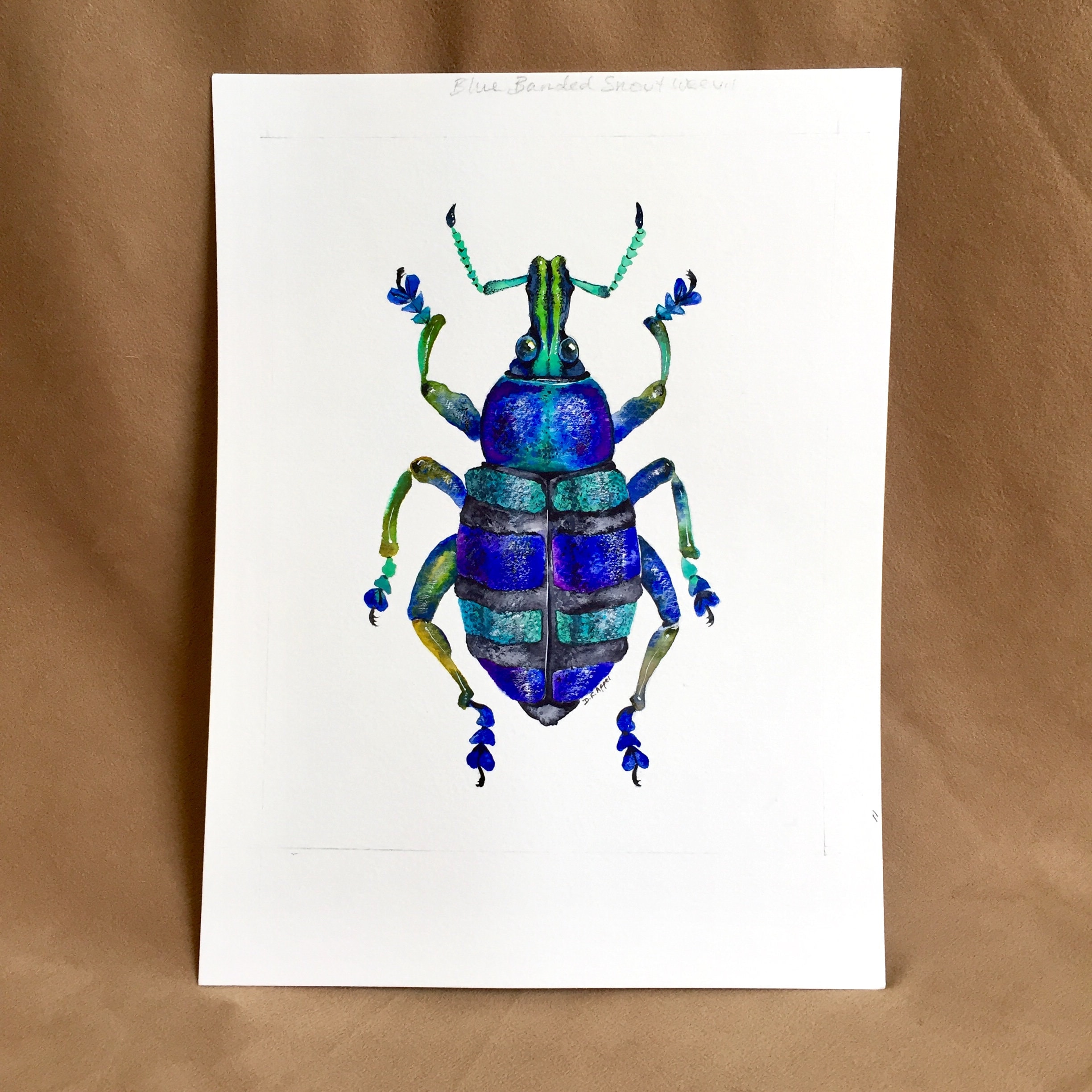Beetle Painting Blue Beetle Watercolor Painting Insect Art - Etsy Singapore