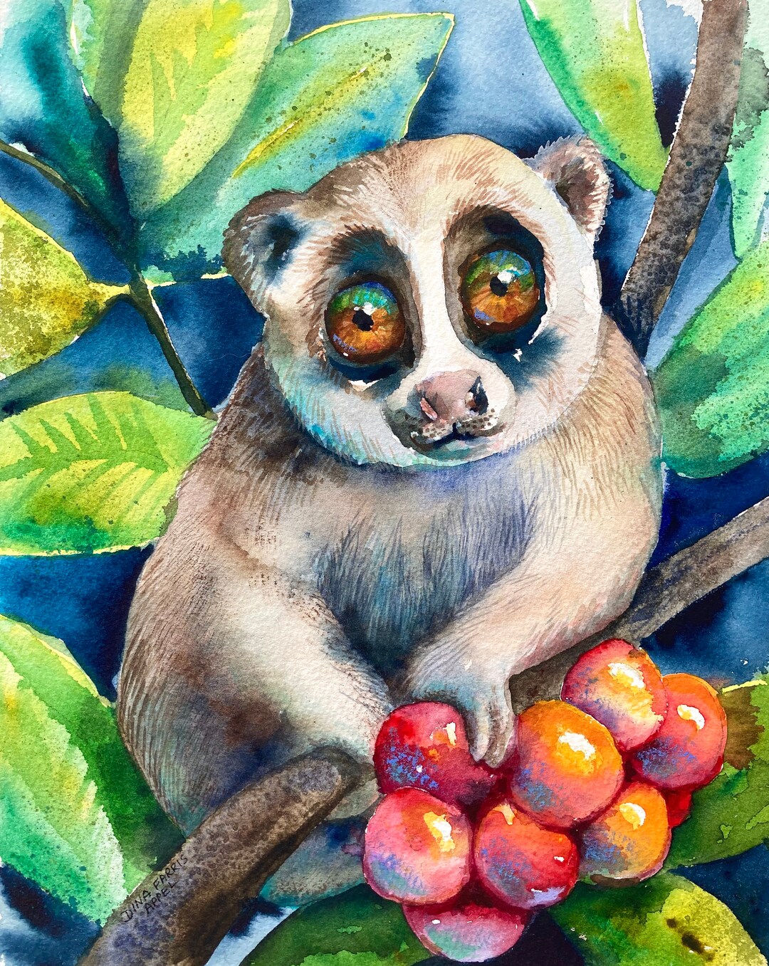Jungle Animal Art, Rainforest Wall Decor, Slow Loris Watercolor ...