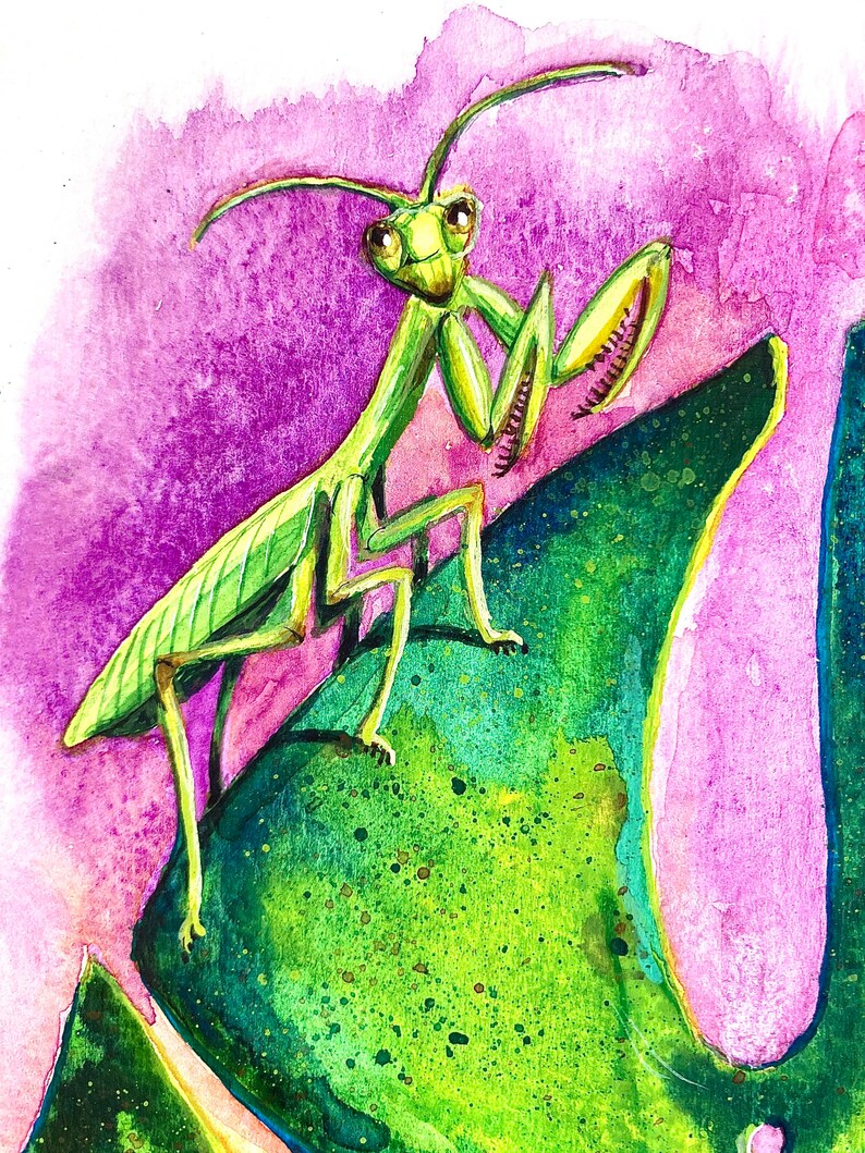 Original Praying Mantis Watercolor Painting, Monstera Leaf Art - Etsy