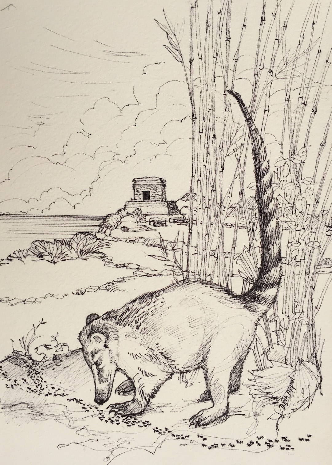 Coati Drawing Mexican Animal Art Whimsical Coatimundi Cute - Etsy UK