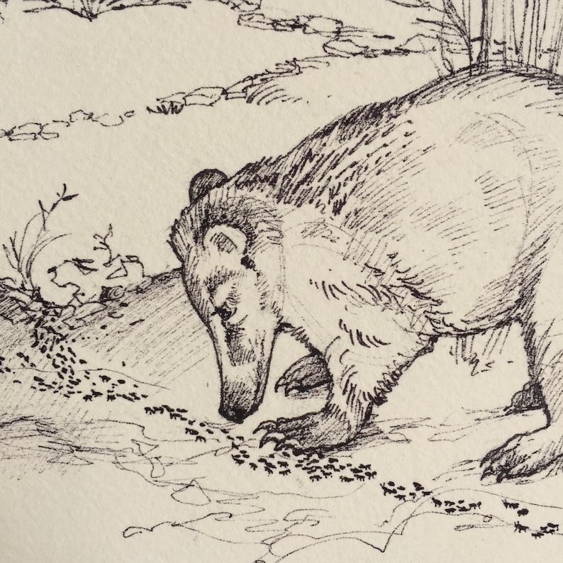 Coati Drawing Mexican Animal Art Whimsical Coatimundi Cute - Etsy UK