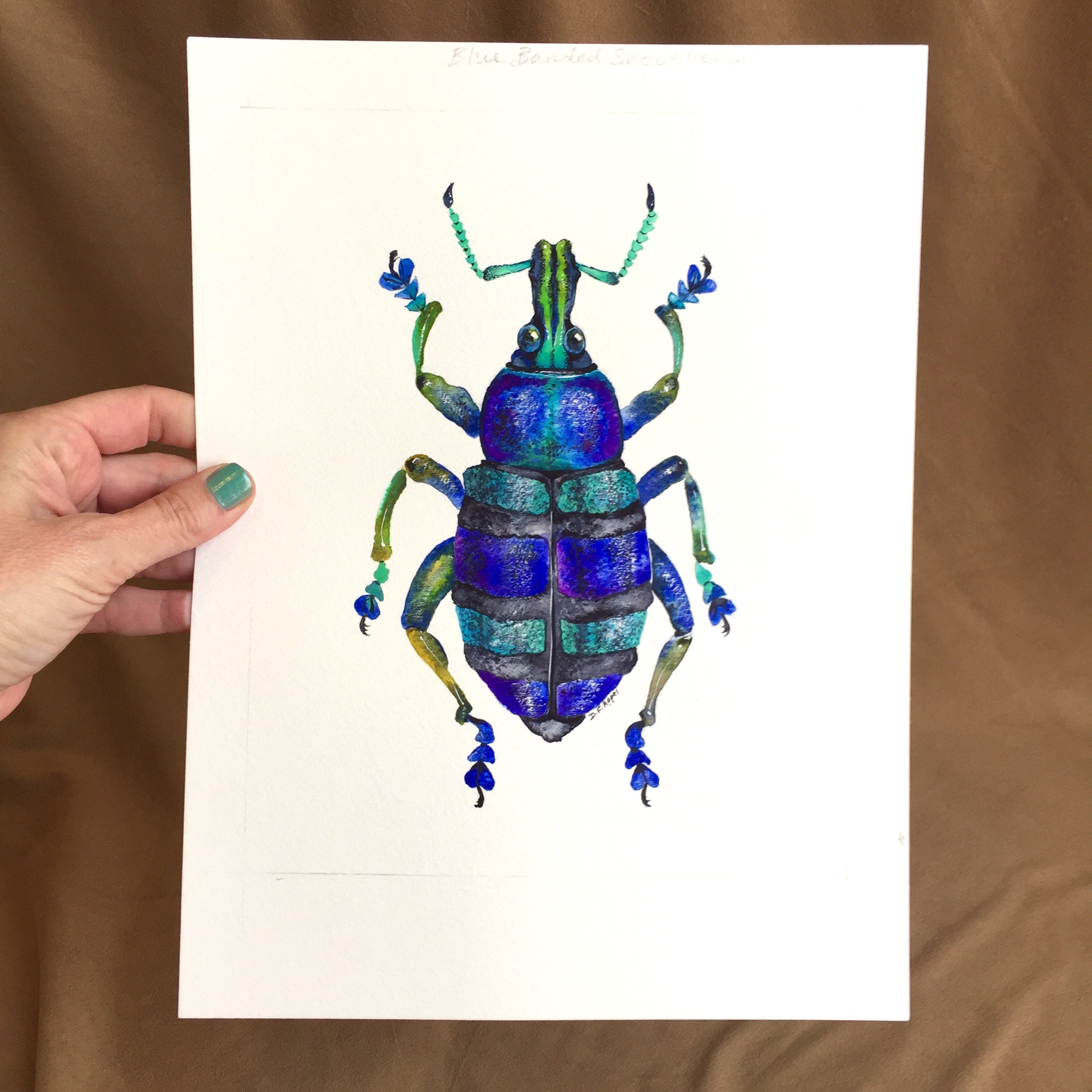 Beetle Painting Blue Beetle Watercolor Painting Insect Art - Etsy Singapore