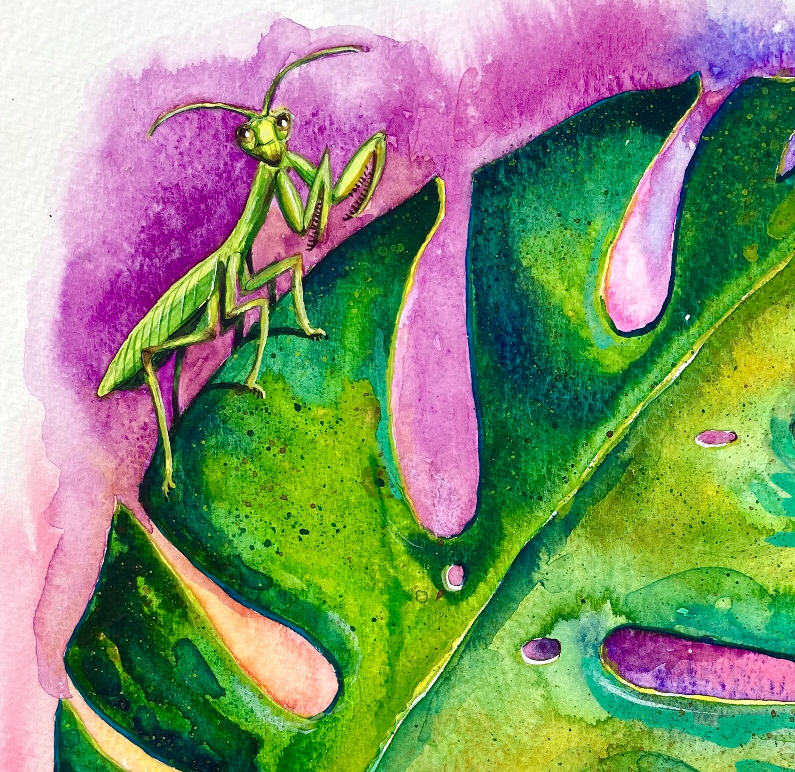 Original Praying Mantis Watercolor Painting, Monstera Leaf Art - Etsy