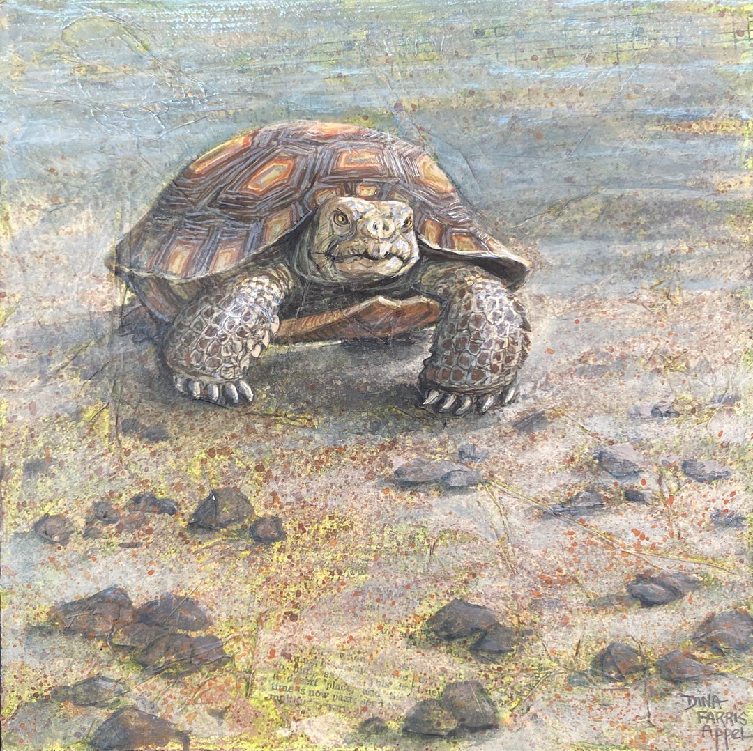 Tortoise Painting, Tortoise Art // One of A Kind Painting on Wood Panel ...