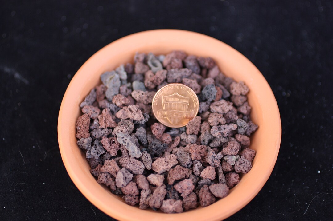 Red Lava Rock Soil Amendment: Succulents, Cactus, Bonsai - Etsy
