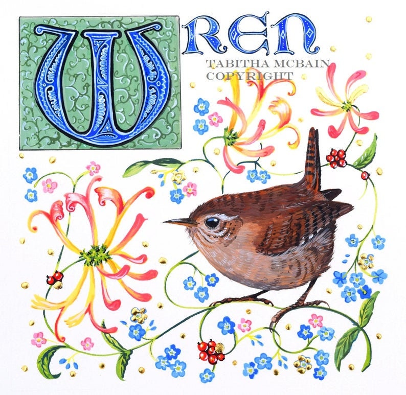 Wren Illuminated Manuscript Letter Greeting Card, Honeysuckle, English ...