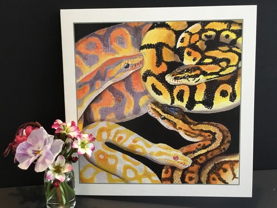 Royal Python Ball Python greeting card blank inside snake | Etsy