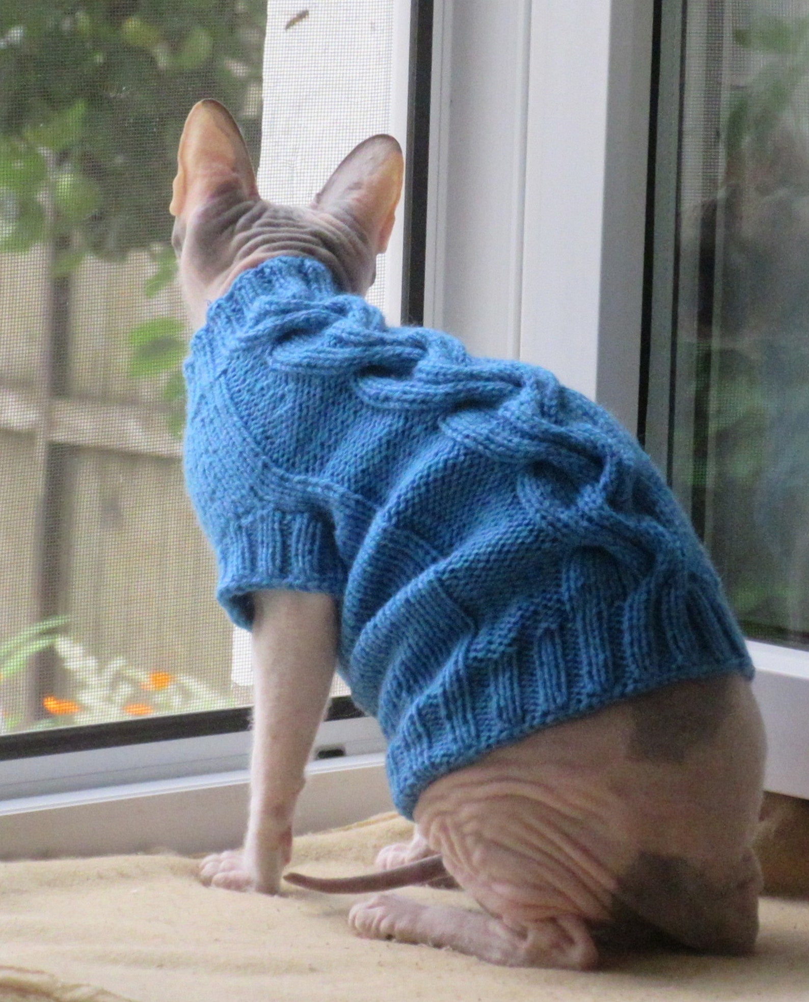 Clothing for Cats Clothes for Sphynx Cat Clothes Sweater | Etsy