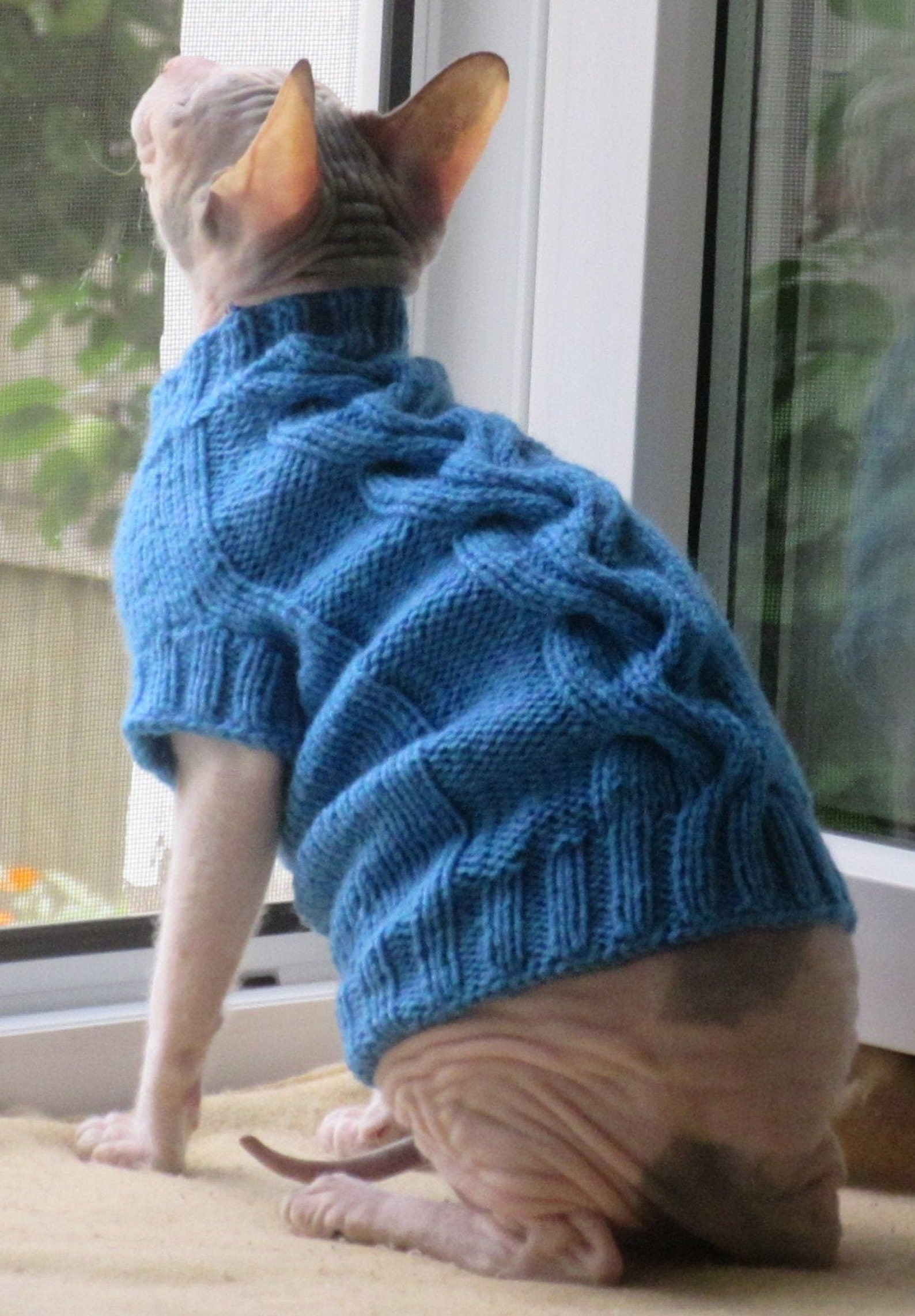 Clothing for Cats Clothes for Sphynx Cat Clothes Sweater | Etsy