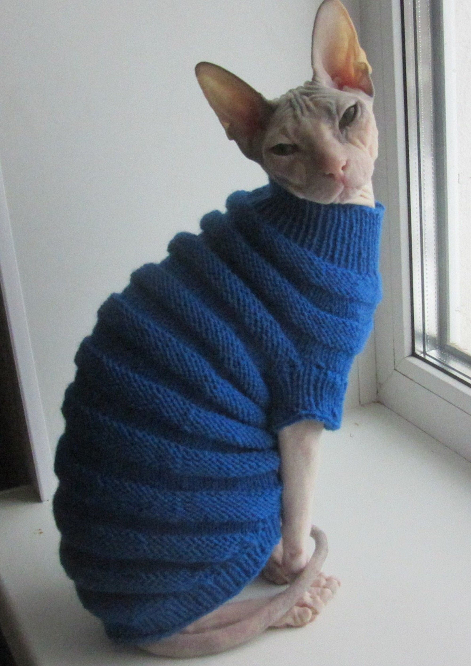 Clothing for cats Clothes for Sphynx Cat clothes sweater | Etsy Clothing for cats Clothes for Sphynx Cat clothes sweater | Etsy