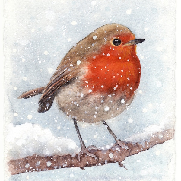 Robin Watercolor - Etsy