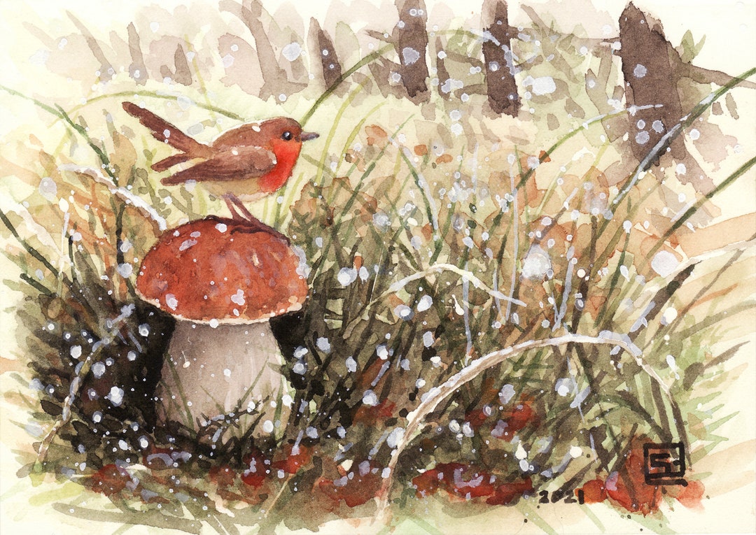 Robin and the Mushroom - Original Watercolor Painting, Robin Painting ...