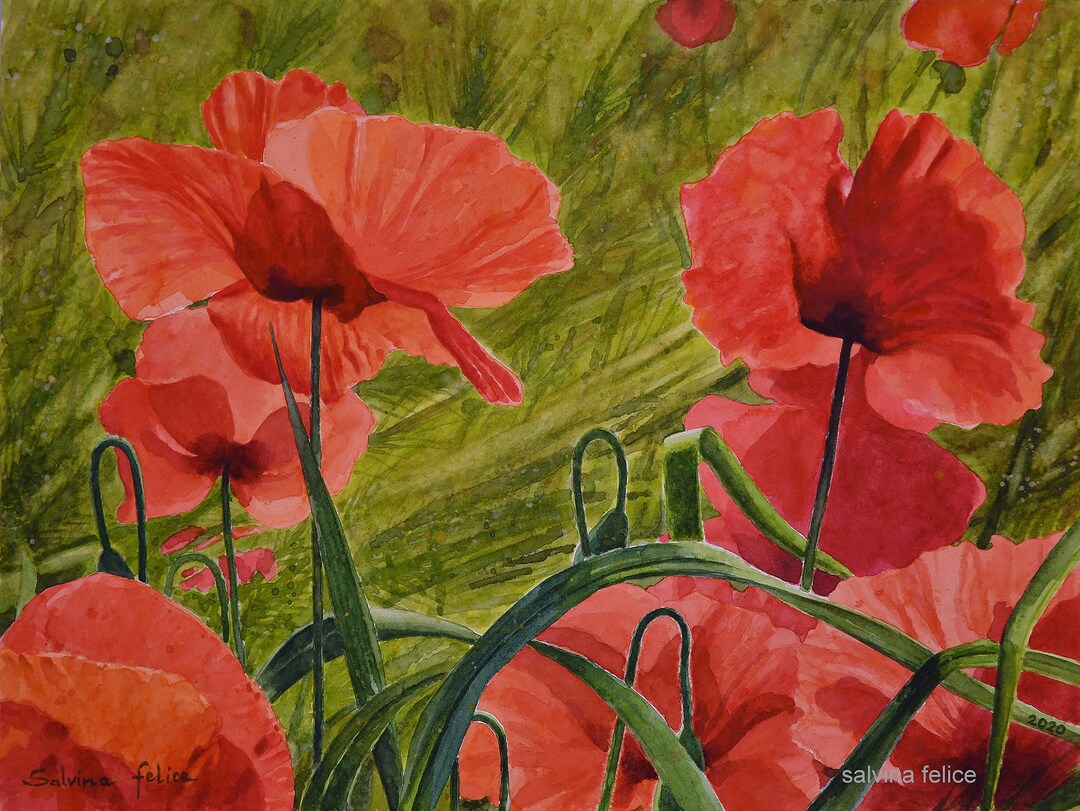 Red Poppies Original Watercolor Painting, Red Poppies in the Grass ...