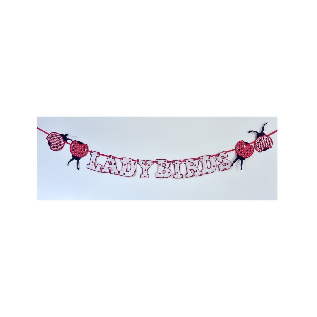 Personalised Ladybird Name Banner Bunting, Kids Bedroom, Embroidered ...