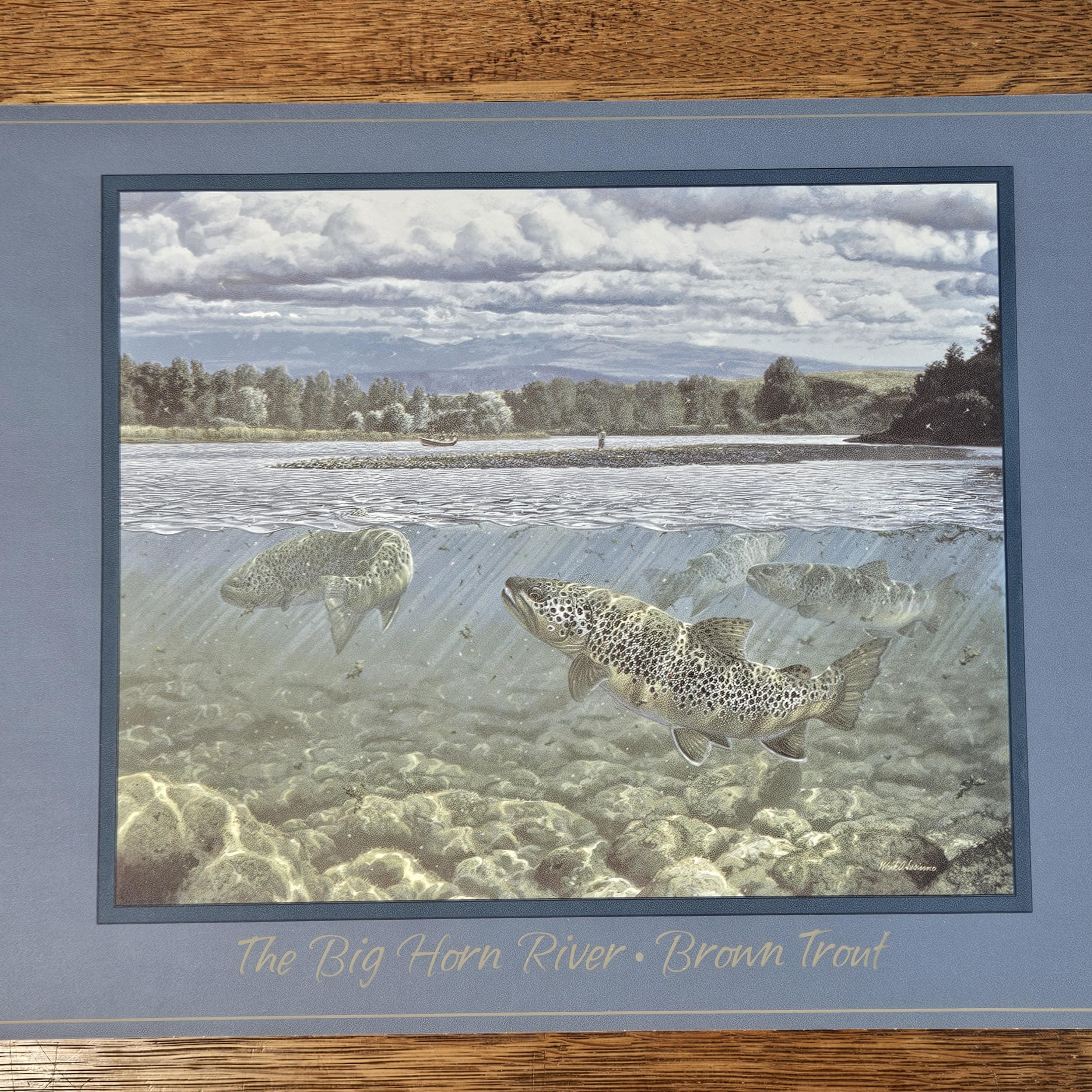 Vintage Fly Fishing Wallpaper Border: Shelbourne Wallcoverings, 3 Full ...