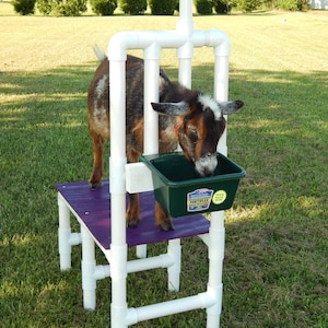 Goat Milking Stand Nigerian Dwarf Pygmy Sheep Milk Table Heavy Duty PVC ...