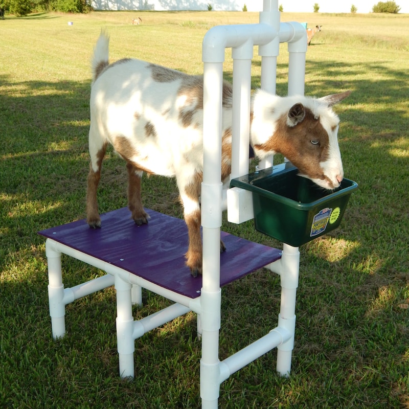 Milking Tables - Etsy