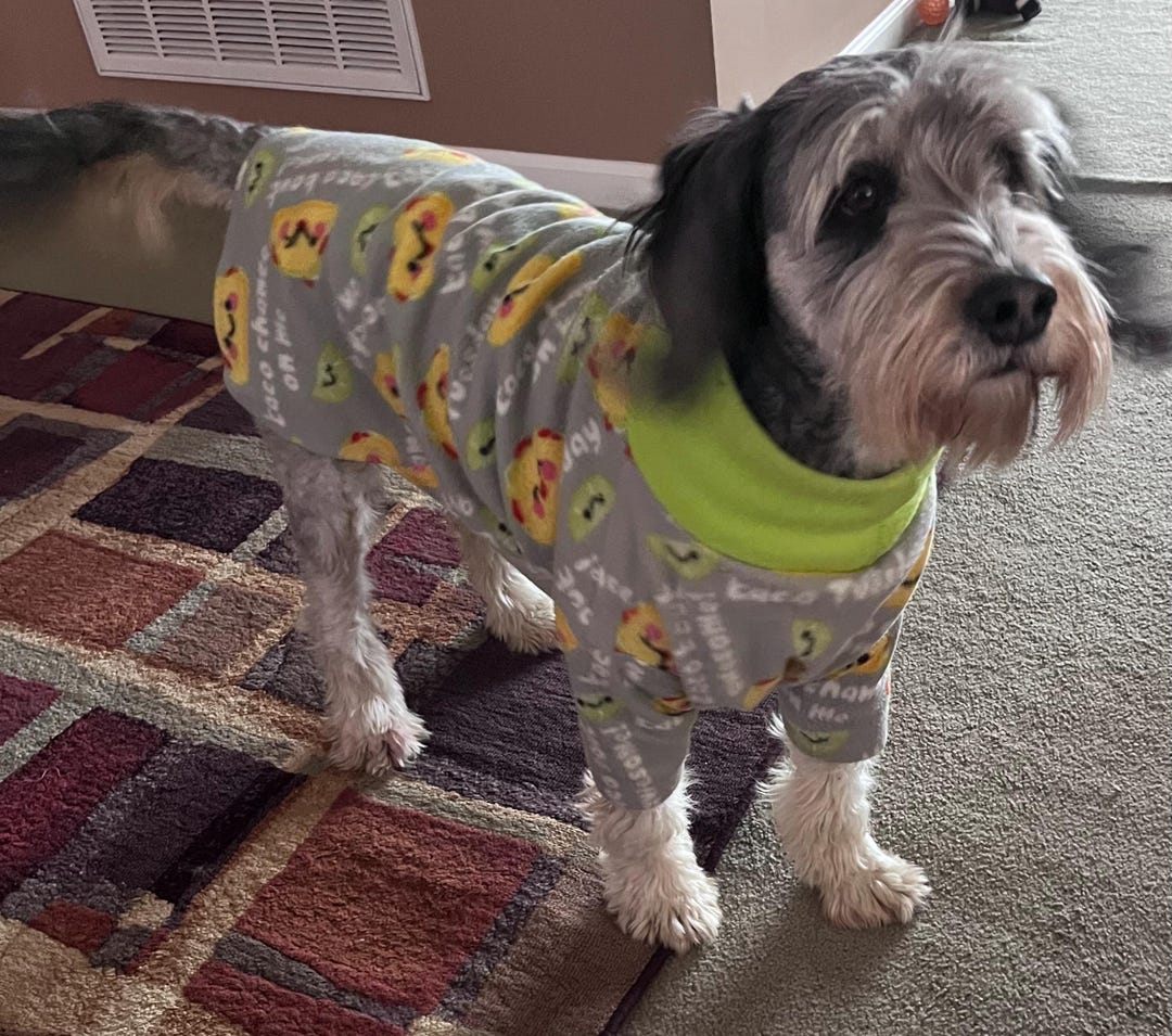 Taco Print Fleece Dog Coat Snood Collar Warm Pjs Doberman Taco Tuesday ...