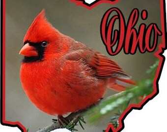 Ohio State Bird | Etsy