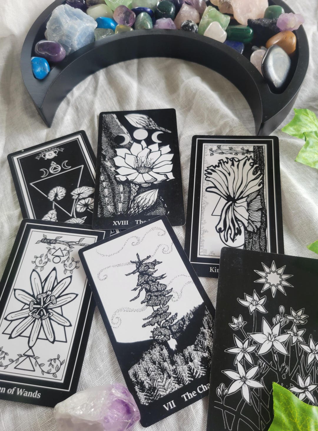 3-card Tarot Reading Using Terra: Botanical Tarot Deck - Etsy