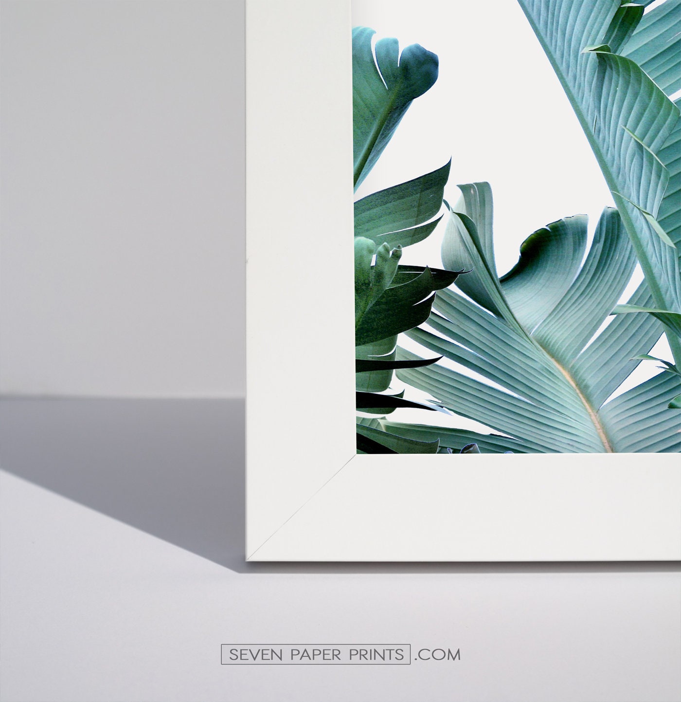 Framed Tropical Wall Art Prints Set of 3 Botanical Framed | Etsy