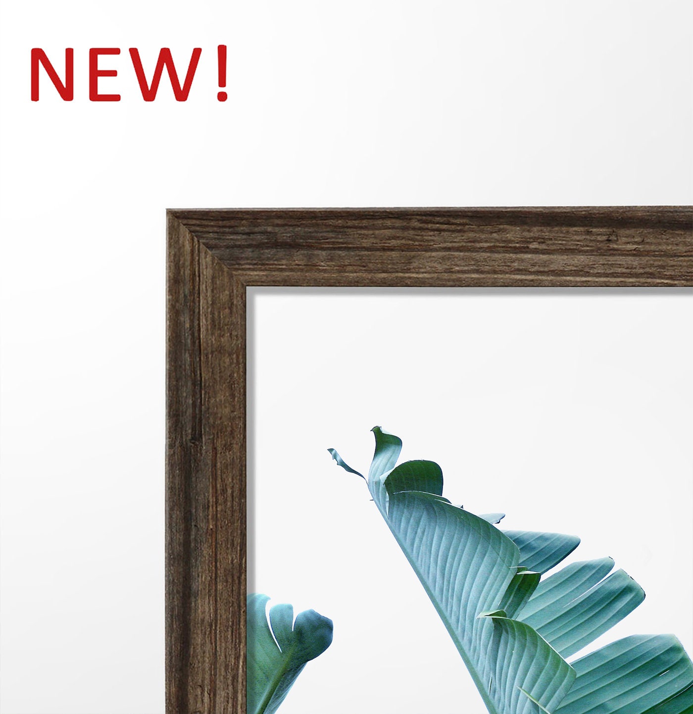 Framed Tropical Wall Art Prints Set of 3 Botanical Framed | Etsy