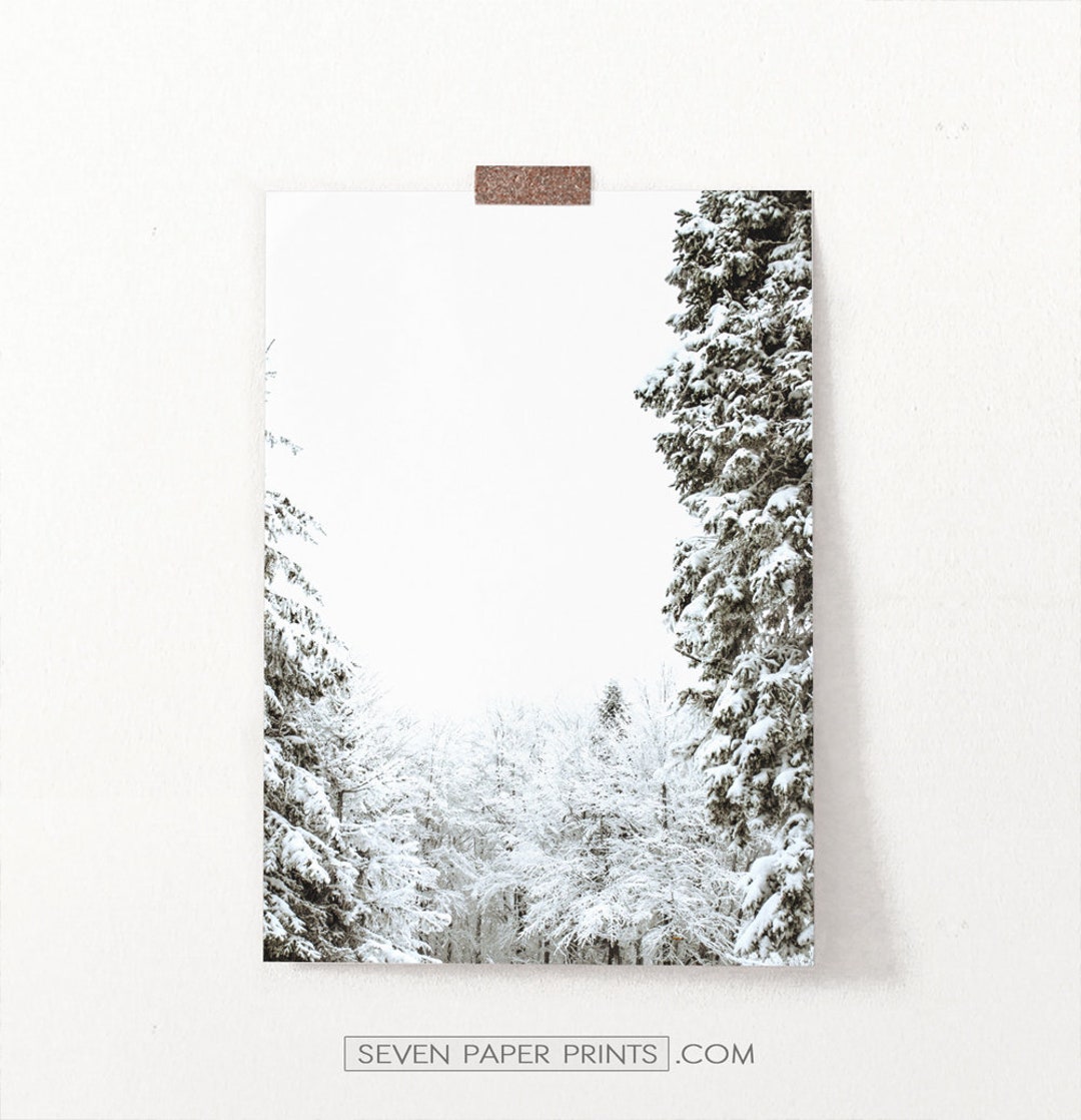 Snowy Trees Wall Art Nordic Pines Print White Scandinavian - Etsy