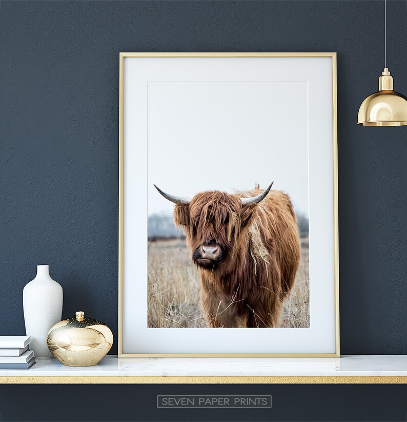 Highland Cow Photography Bull Print Autumn Landscape Wall | Etsy