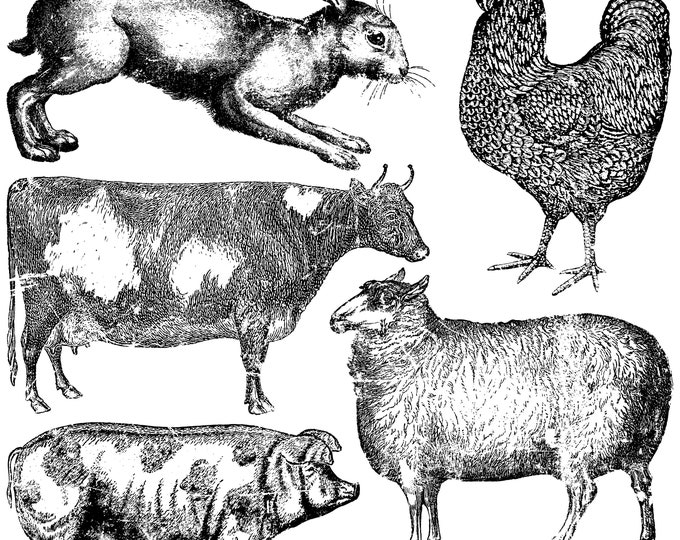 Iron Orchid Designs Farm Animals Iod Stamp Large Pig Chicken Rabbit ...