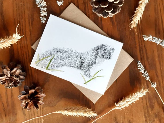 Weasel Blank Greeting Card Birthday Card Thank you Card | Etsy Italia