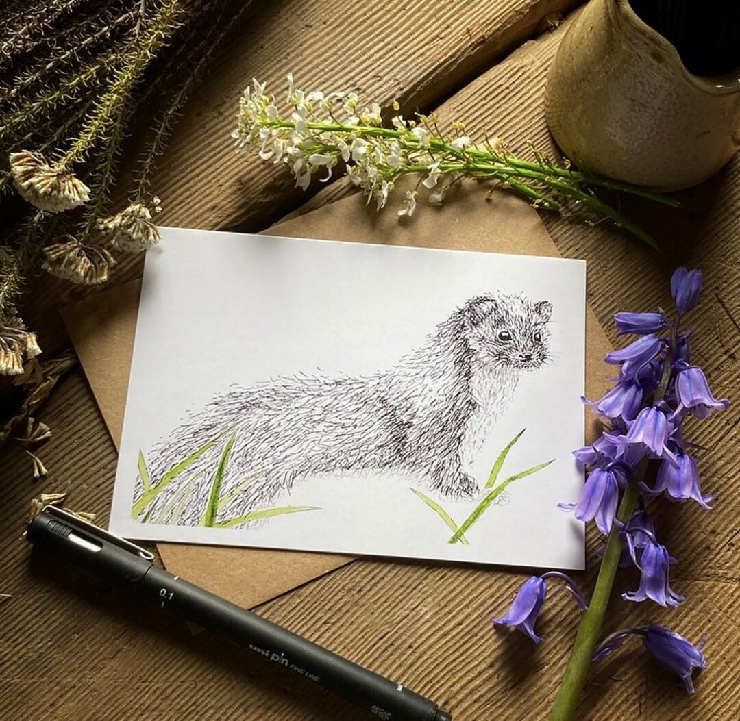 Weasel Blank Greeting Card, Birthday Card, Thank You Card ...