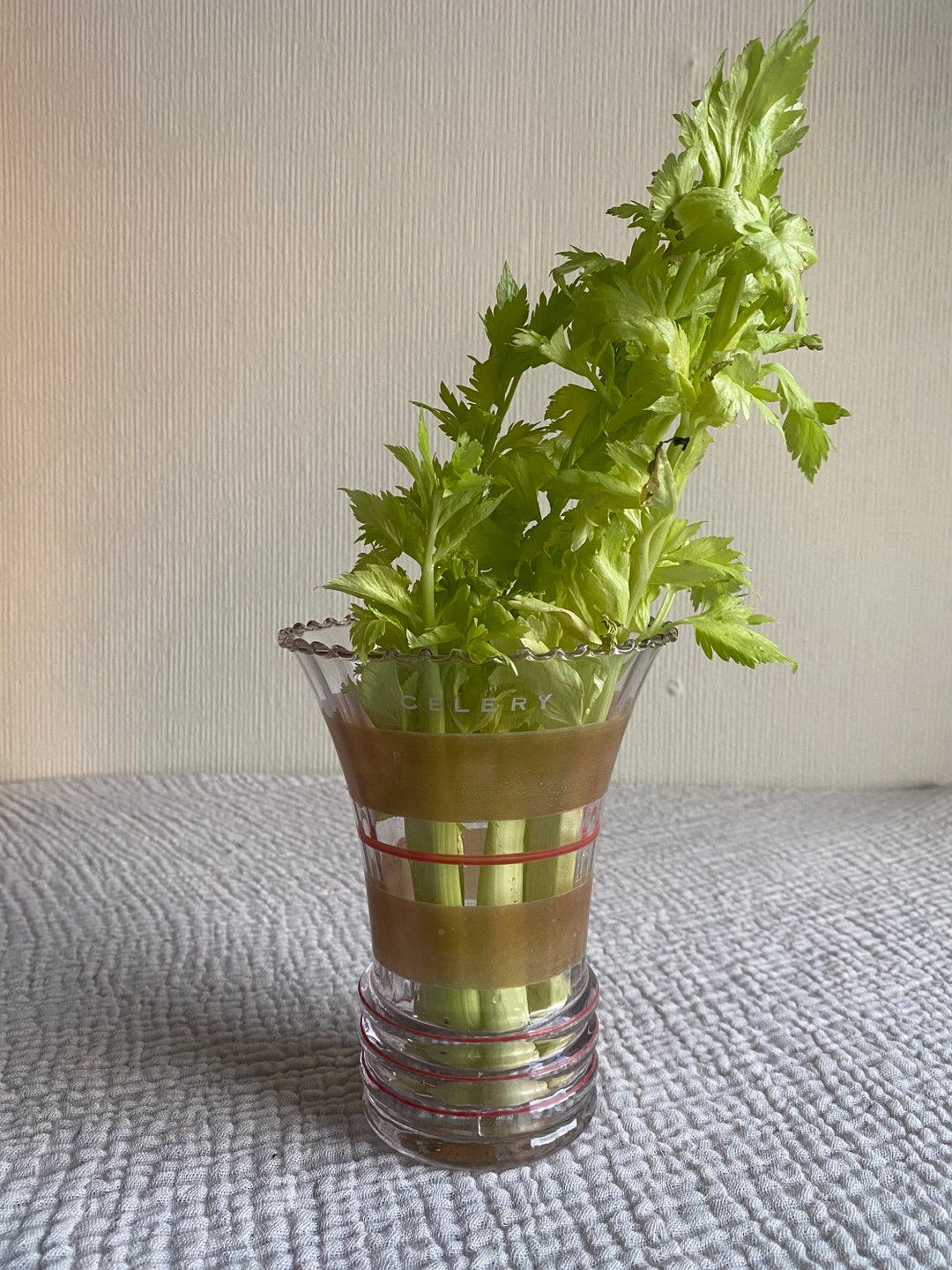 Vintage Pressed Glass Celery Vase With Hand Painted Striped Pattern ...